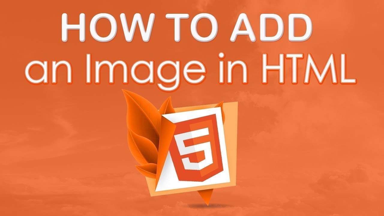 How To Add Insert Image In Html From A Link Using VS Code Step By Step How To Add Insert Image In Html From A Link Using VS Code Step By Step