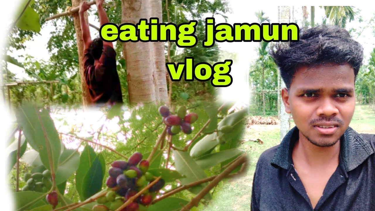 eating jamun || mango eating 😋 - YouTube