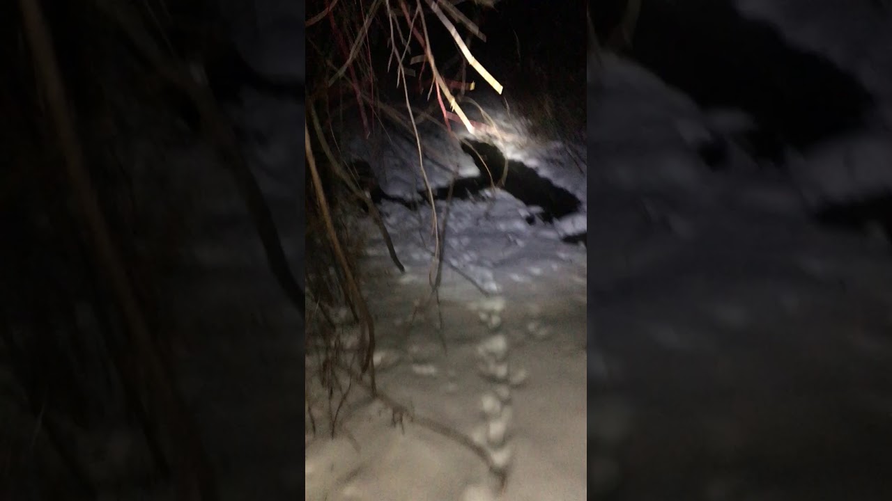 Creepy wrong turn wood /house - YouTube