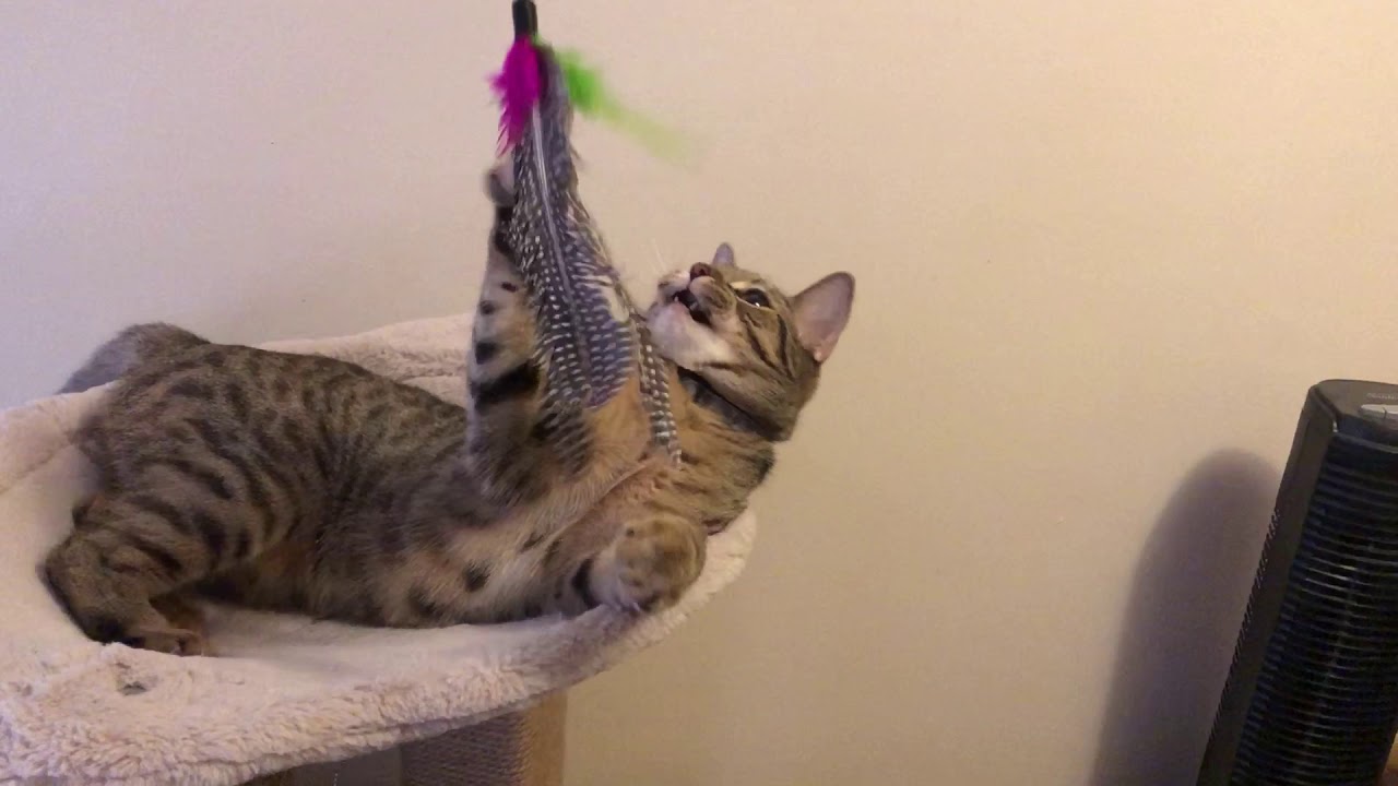 Lexi fishing - YouTube