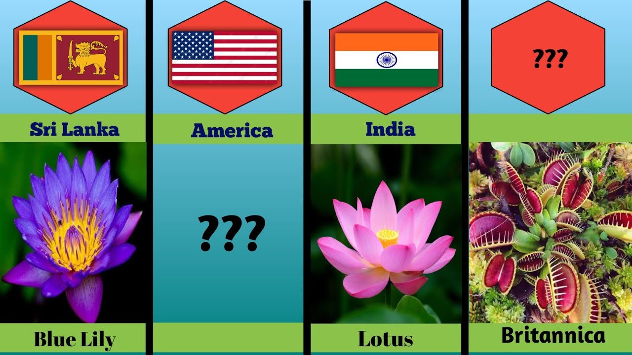 Different countries Different Types Of National Flower. - YouTube
