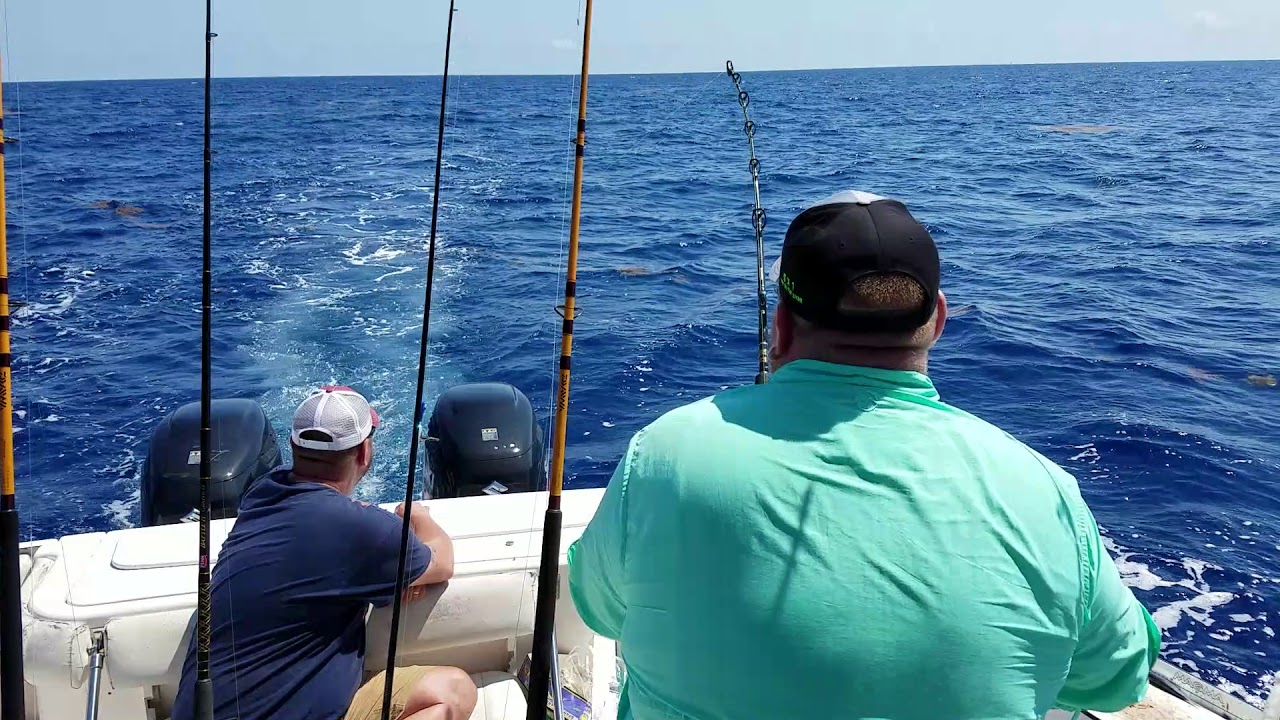 Mahi " Dolphin " Abe - YouTube