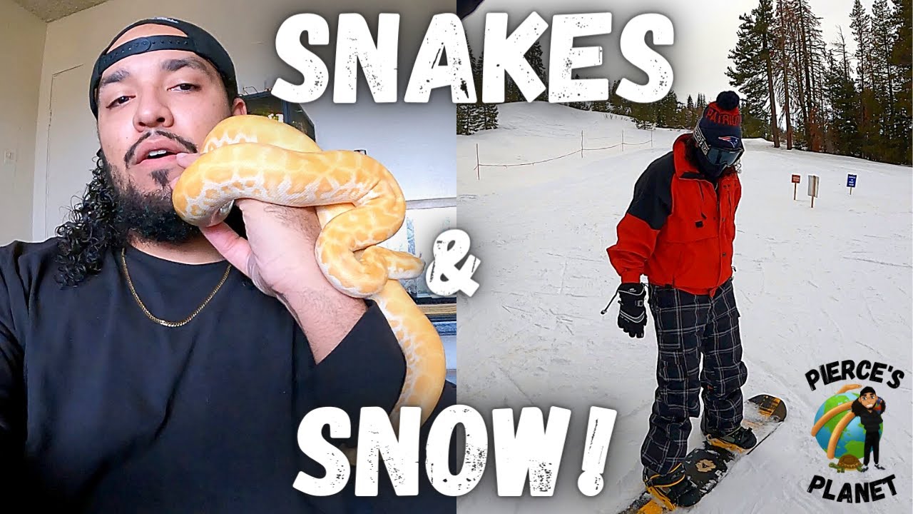 Playing With Snakes & Snowboarding! Testing Out My New GoPro Hero 9 ...