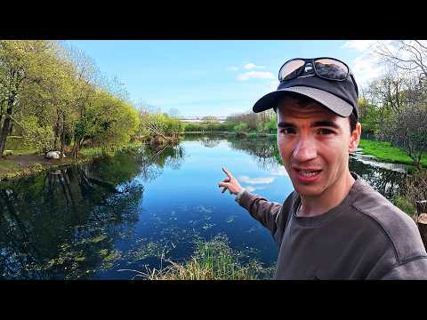 50lb Carp In A Small Pond! Can I Catch It?