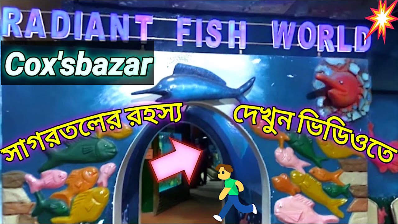 Fish World Cox'sBazar. Radiant Fish World Aqurium. - YouTube