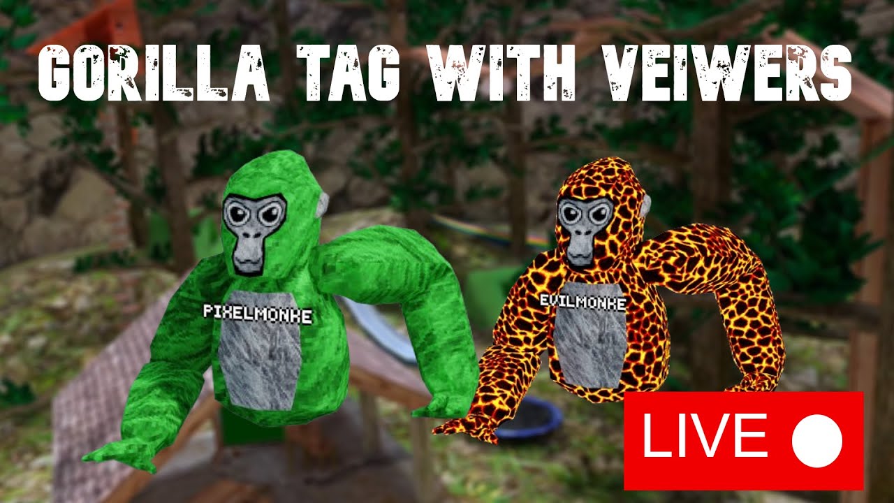 GORILLA TAG WITH VIEWERS LIVE STEAM - YouTube