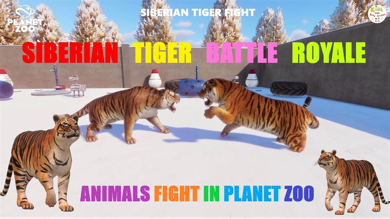 ANIMALS FIGHT IN PLANET ZOO - SIBERIAN TIGER FIGHT!! ANIMALS BATTLE ...