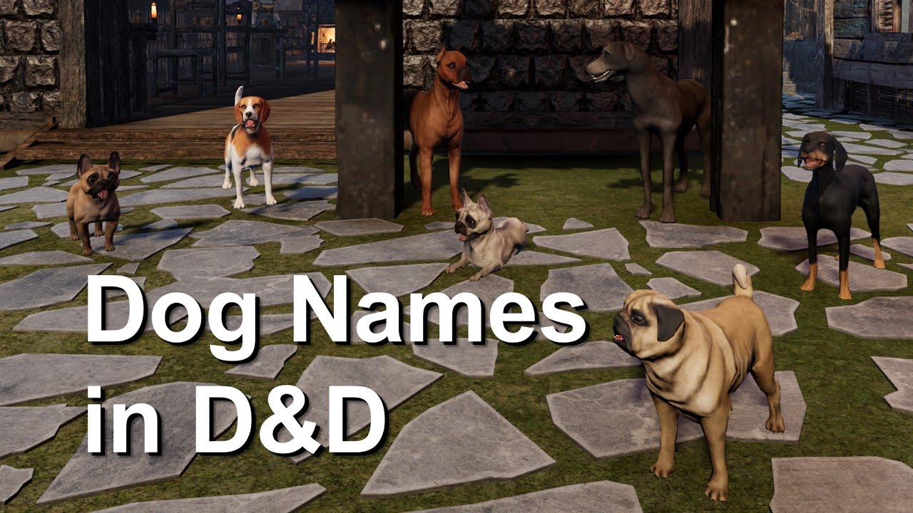 Dog Names In D D YouTube dog-names-in-d-d-youtube