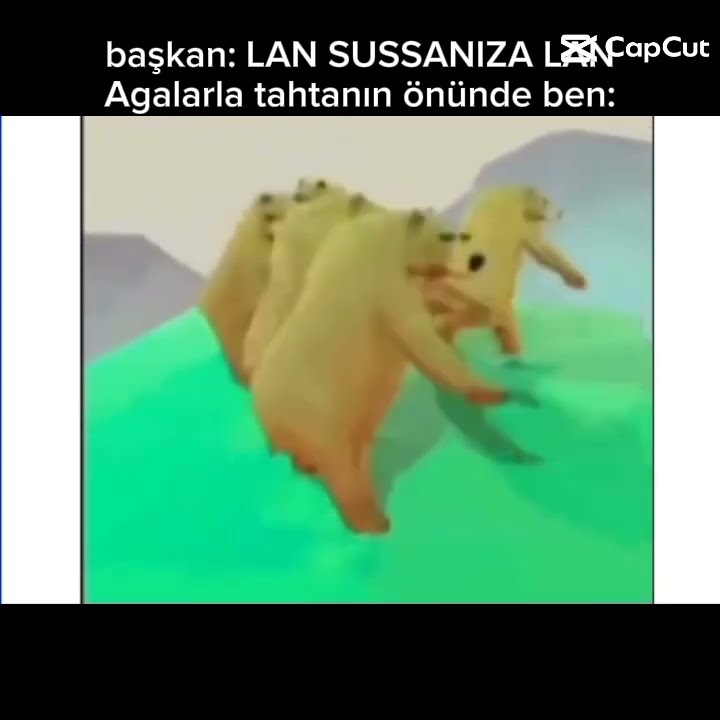 14 Kasım 2024 - YouTube