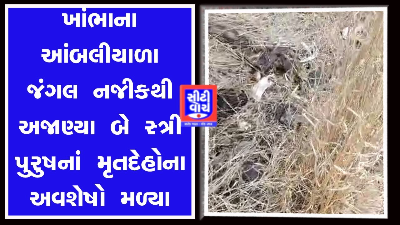 Khambha ના આંબલીયાળા જંગલ નજીકથી અજાણ્યા બે સ્ત્રી પુરુષનાં મૃતદેહોના ...
