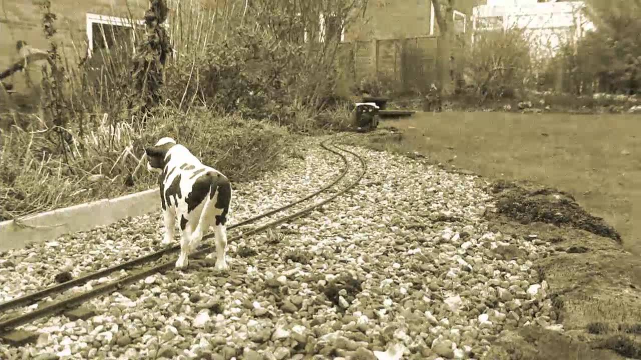 The Okaihau Express - YouTube