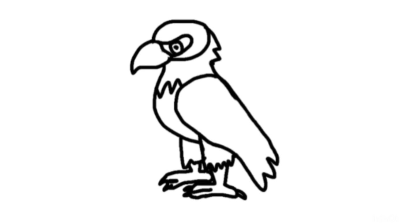 Cara Menggambar Elang | How to Draw an Eagle - YouTube