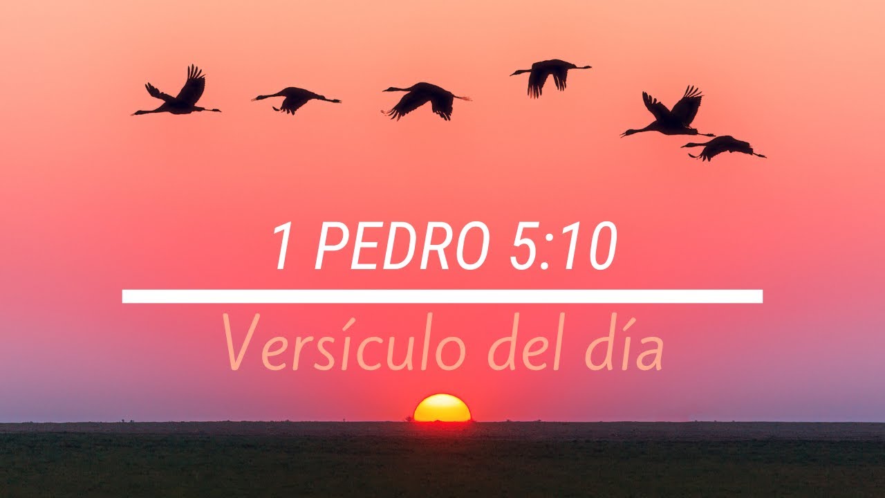 VERS CULO DEL D A 1 PEDRO 5 10 NVI YouTube