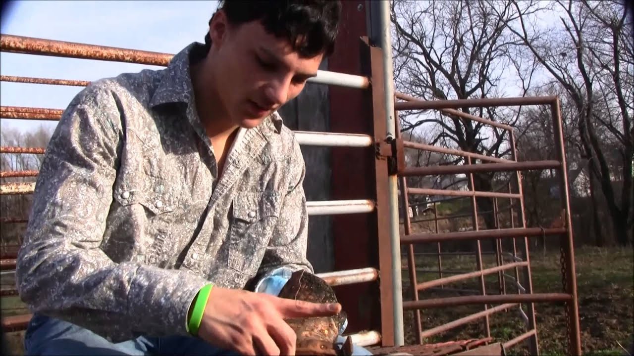 Chicks Dig'em (Lane Scott) - YouTube