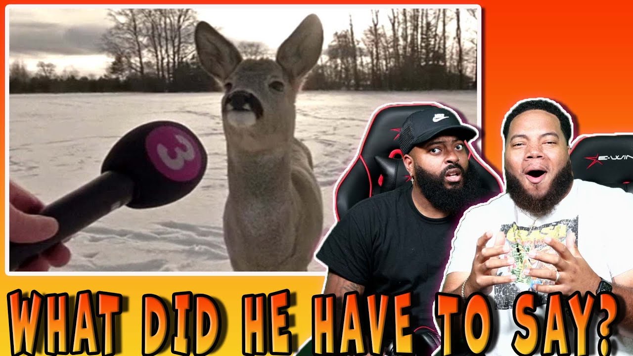 INTHECLUTCH TRY NOT TO LAUGH TO RANDOM MEMES 13 (YOUTUBE FRIENDLY ...