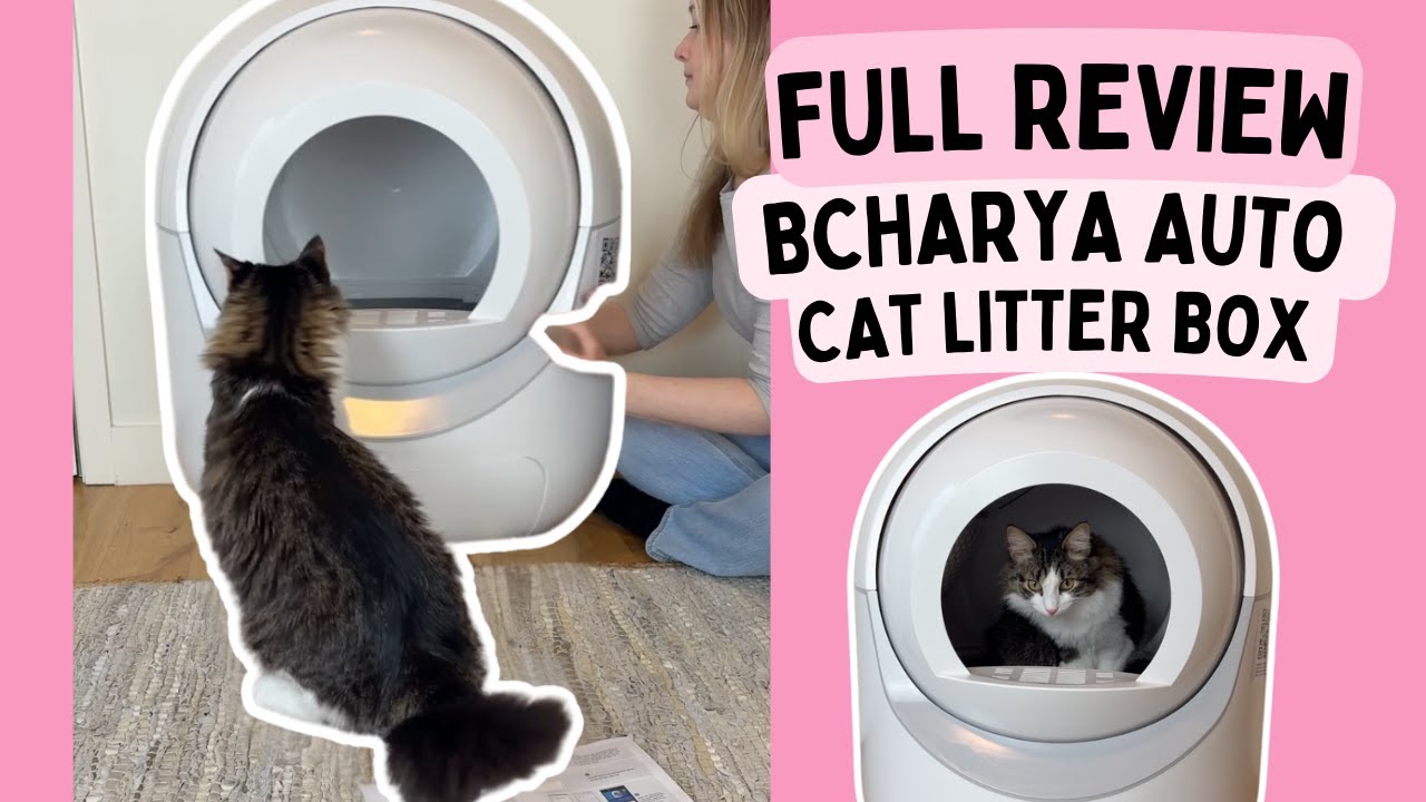 Full review: BCHARYA auto litter box vs litter robot 4! (setup + cat ...