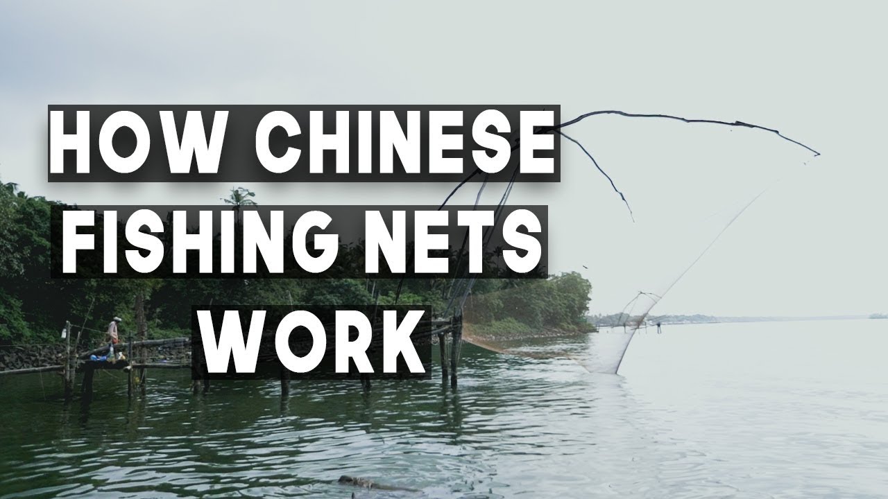Working of Chinese Fishing Net! Catching fish using Chinese Net - YouTube