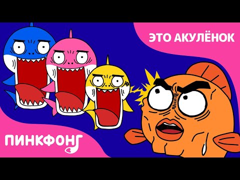 Krahs ybab | Это АКУЛЁНОК | Песни про животных | Пинкфонг Песни для Детей