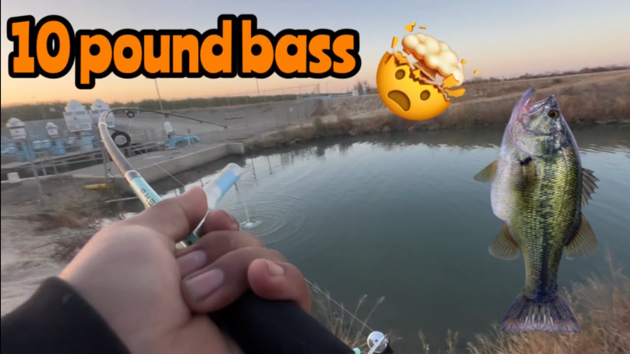 Caught a 10 pound bass!!!!!! (Not clickbait) - YouTube