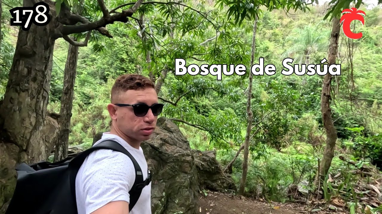 Caminamos área de camping del Bosque Susúa - YouTube