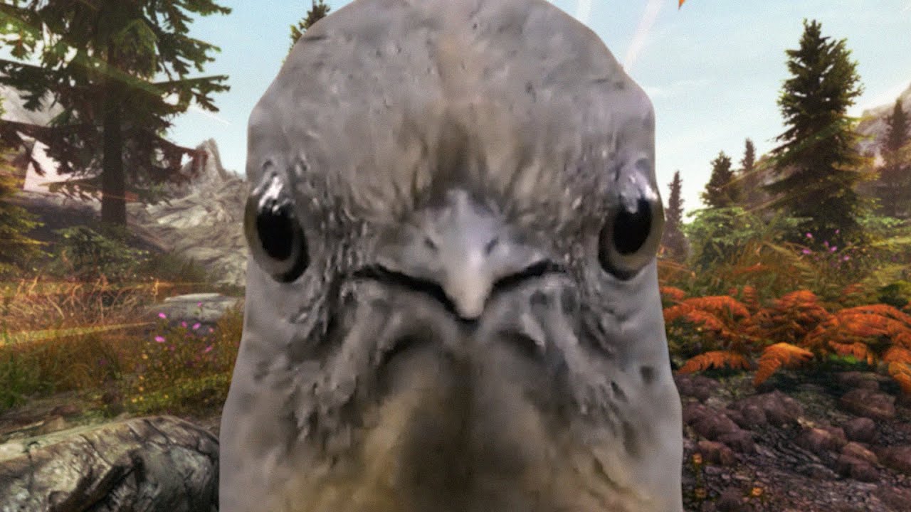 New Bird Species Discovered in Skyrim - YouTube
