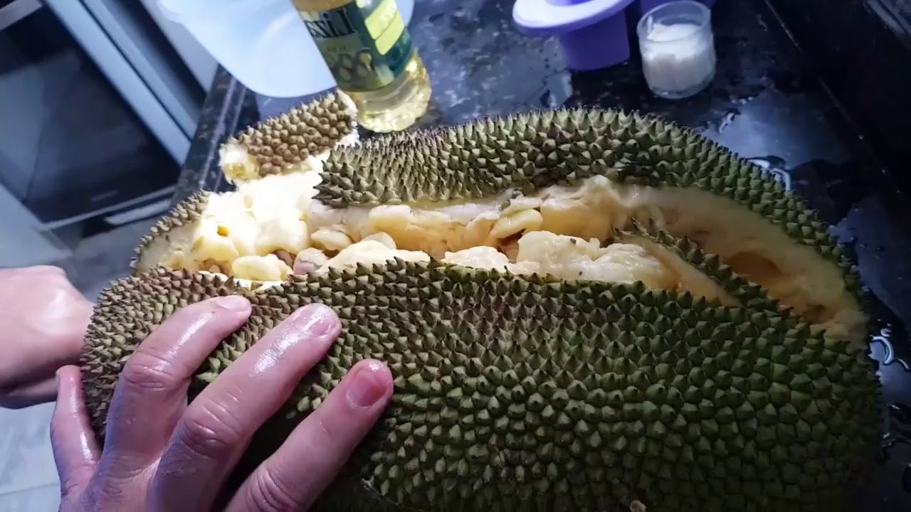 Como abrir uma jaca - Por Gerson Pereira - YouTube