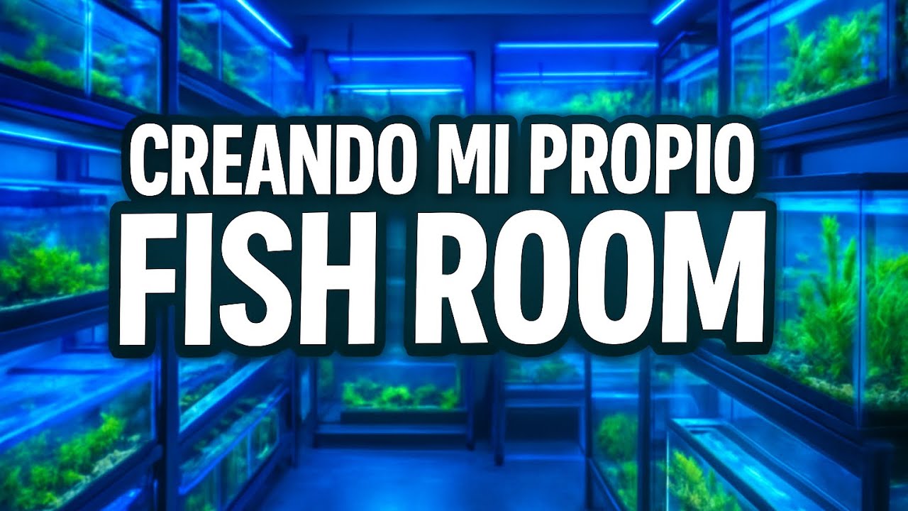¡MI FISH ROOM ERA UN CAOS! — Mira la TRANSFORMACIÓN IMPRESIONANTE 😱🐟🔥 ...