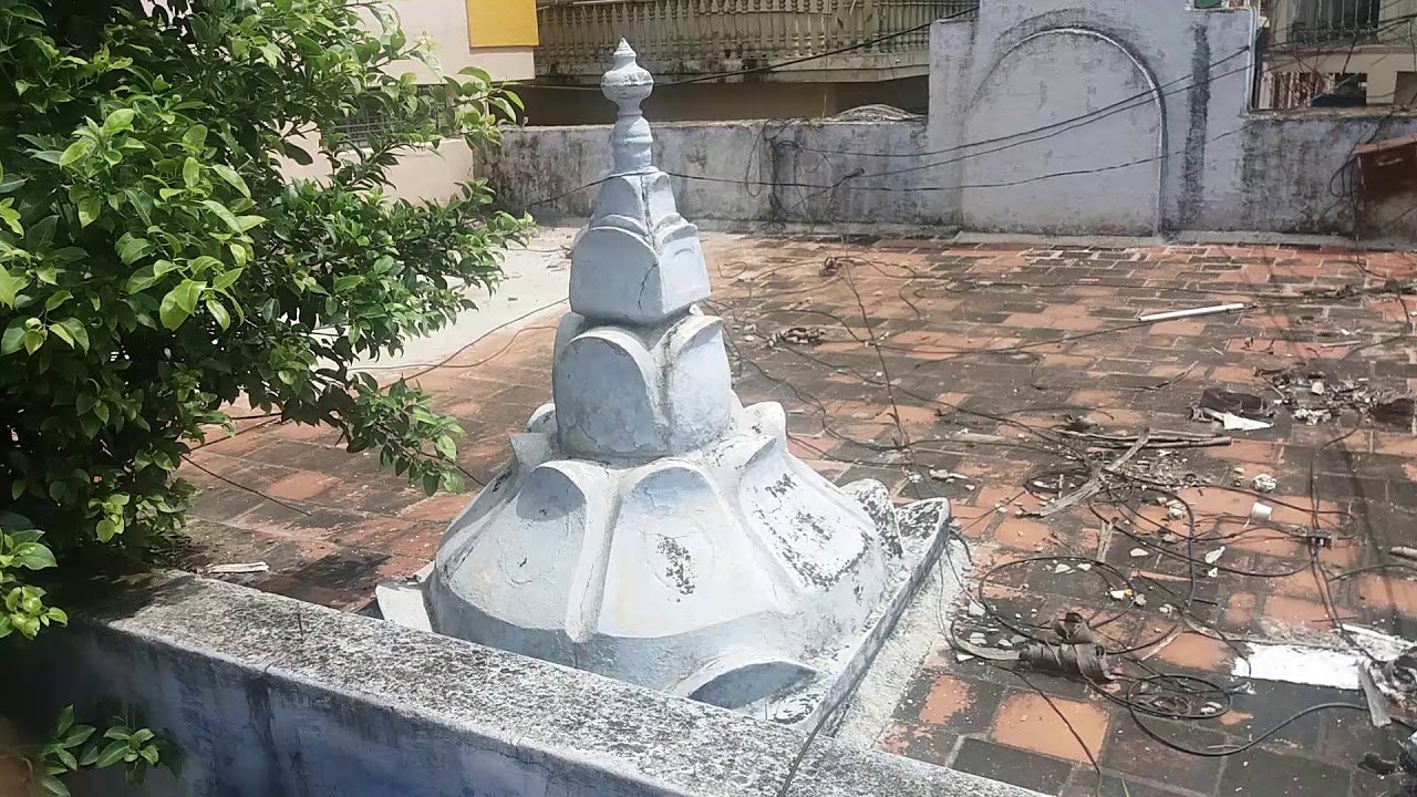 Temple chettu - YouTube