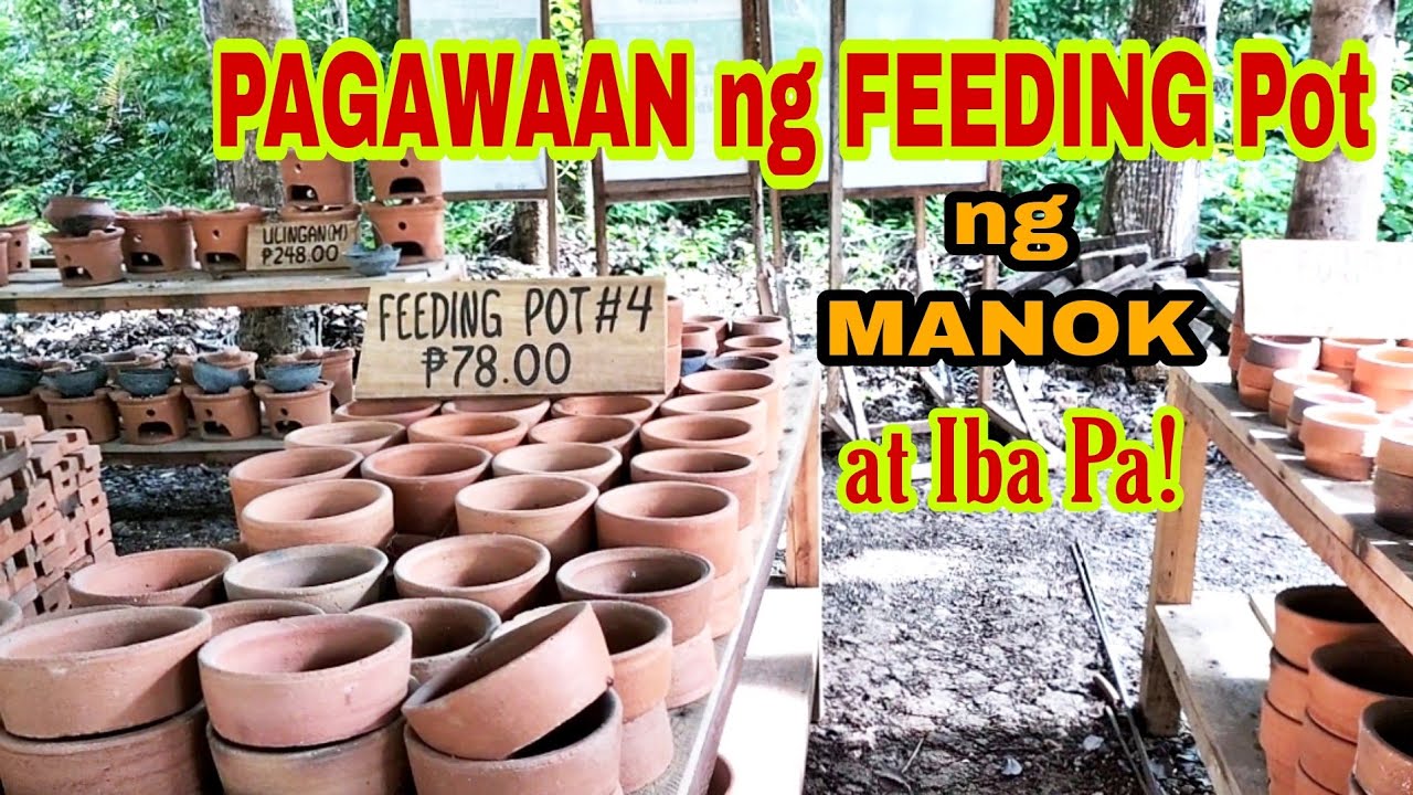 PAGAWAAN Ng Feeding Pot Ng mga MANOk at Iba Pa - YouTube