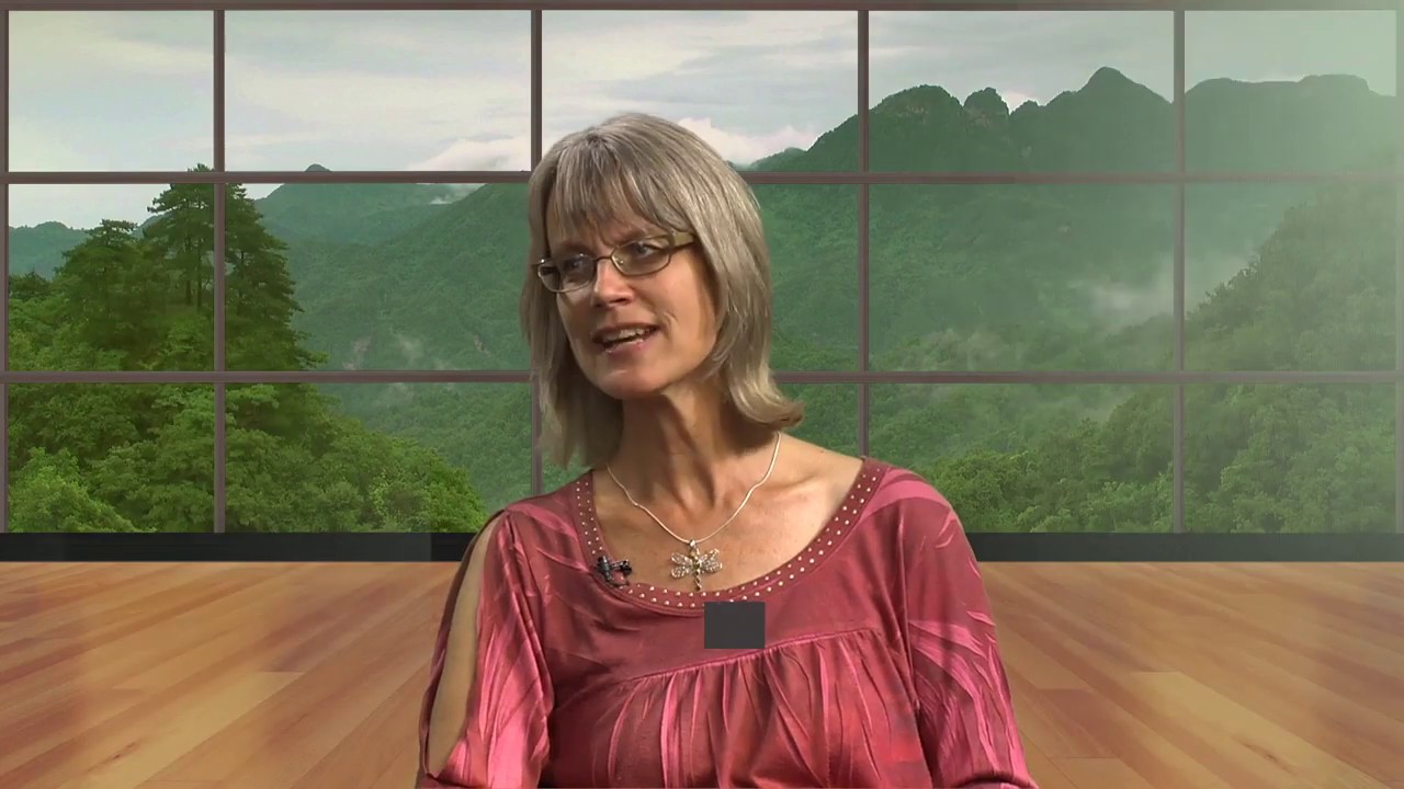 Lynn Koll Interview CCX - YouTube