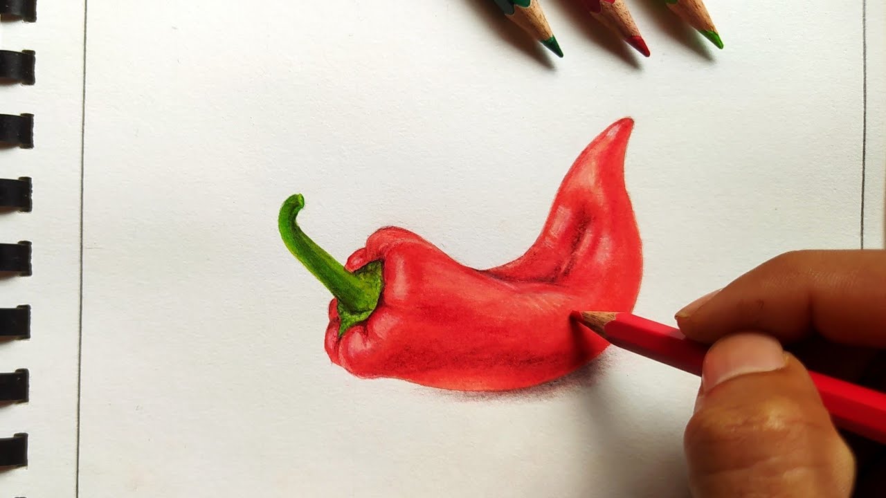 Drawing a chili pepper with colored pencils | TH Artwork - YouTube