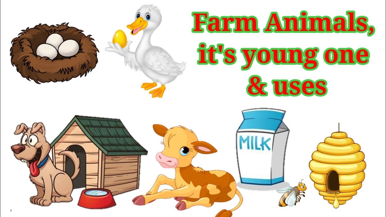 Animals's home and its young ones | Uses of farm animals | domestic ...