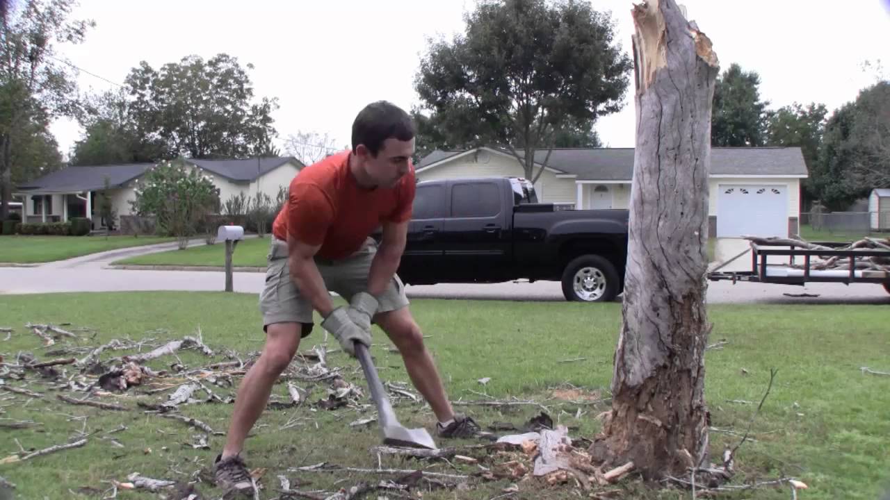 Tree Cutting Technique - The Adventure! - YouTube