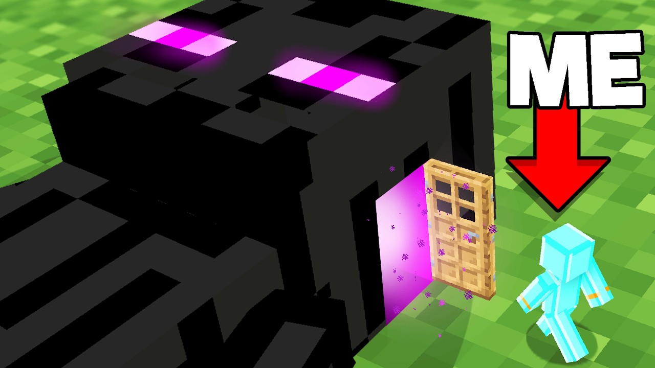 Minecraft but you can Go Inside Mobs - YouTube