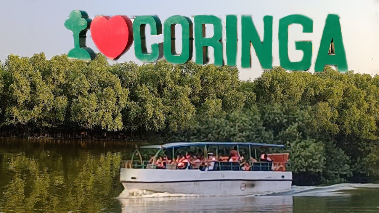 Korangi wildlife sanctuary | Coringa mada forest | Tourist spot # ...