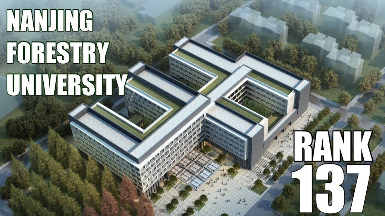 Nanjing Forestry University | 南京林业大学 | CHINA - YouTube