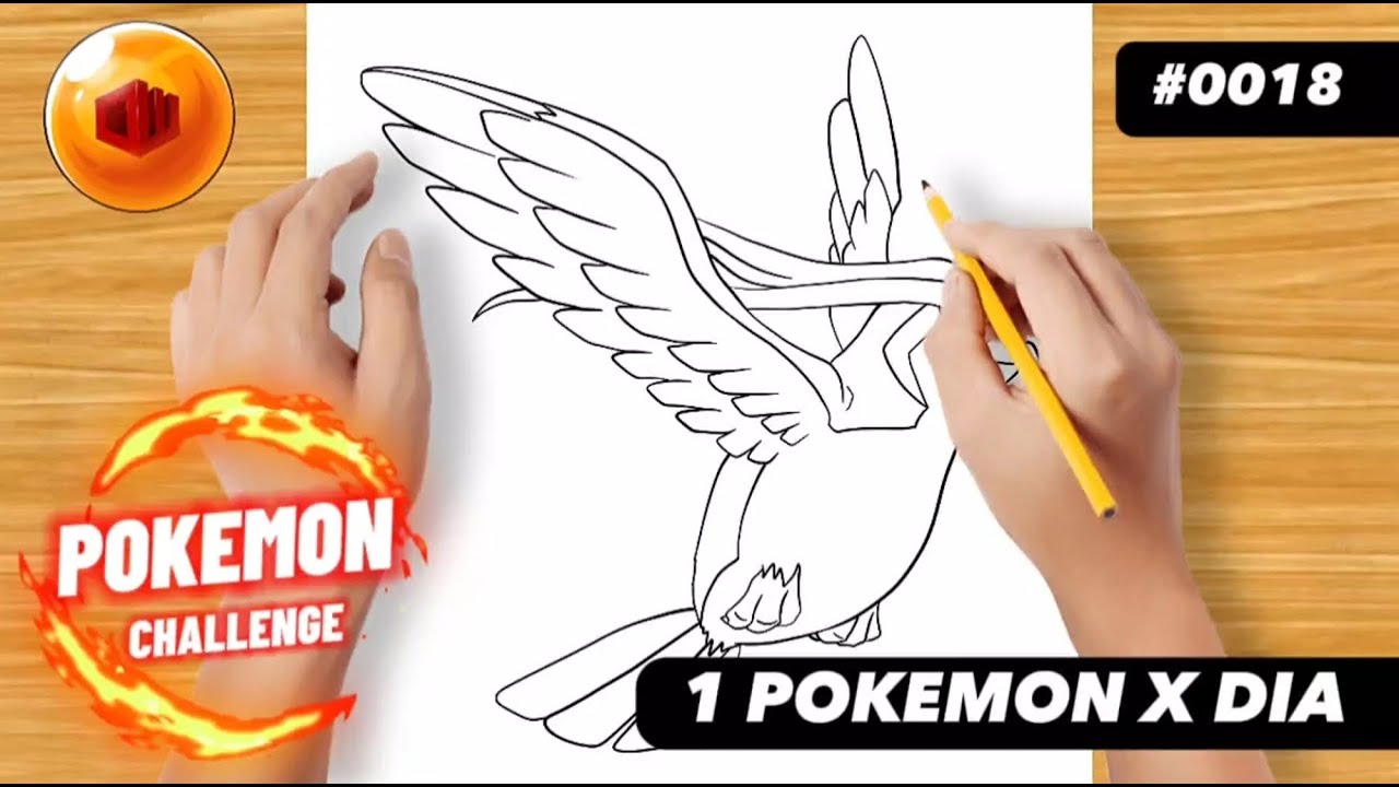 🟡 COMO DIBUJAR A PIDGEOT 🐤 POKEMON MUY FACIL PASO A PASO OVIWORKS ...