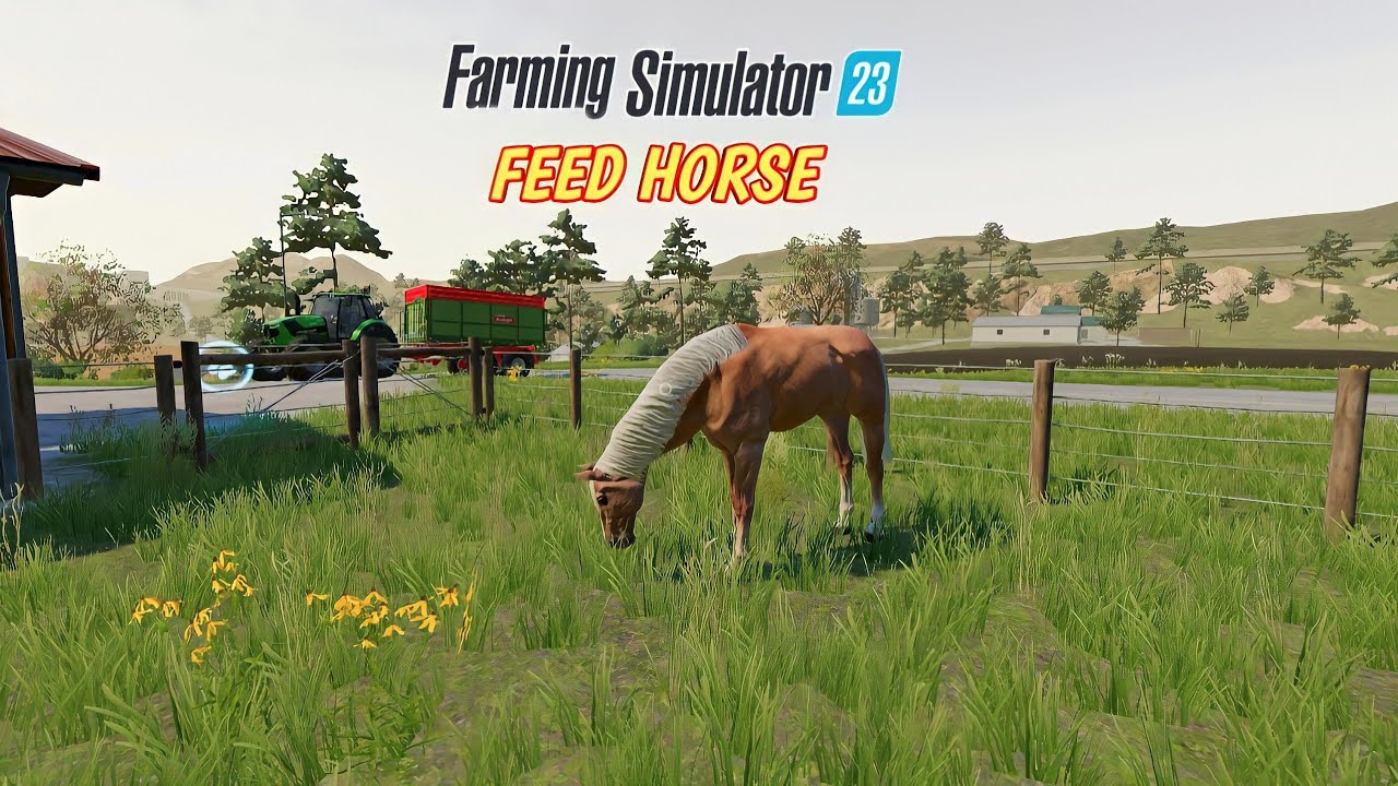 How to Feed Horse | Farming simulator 23 | fs 23 Horse guide - YouTube