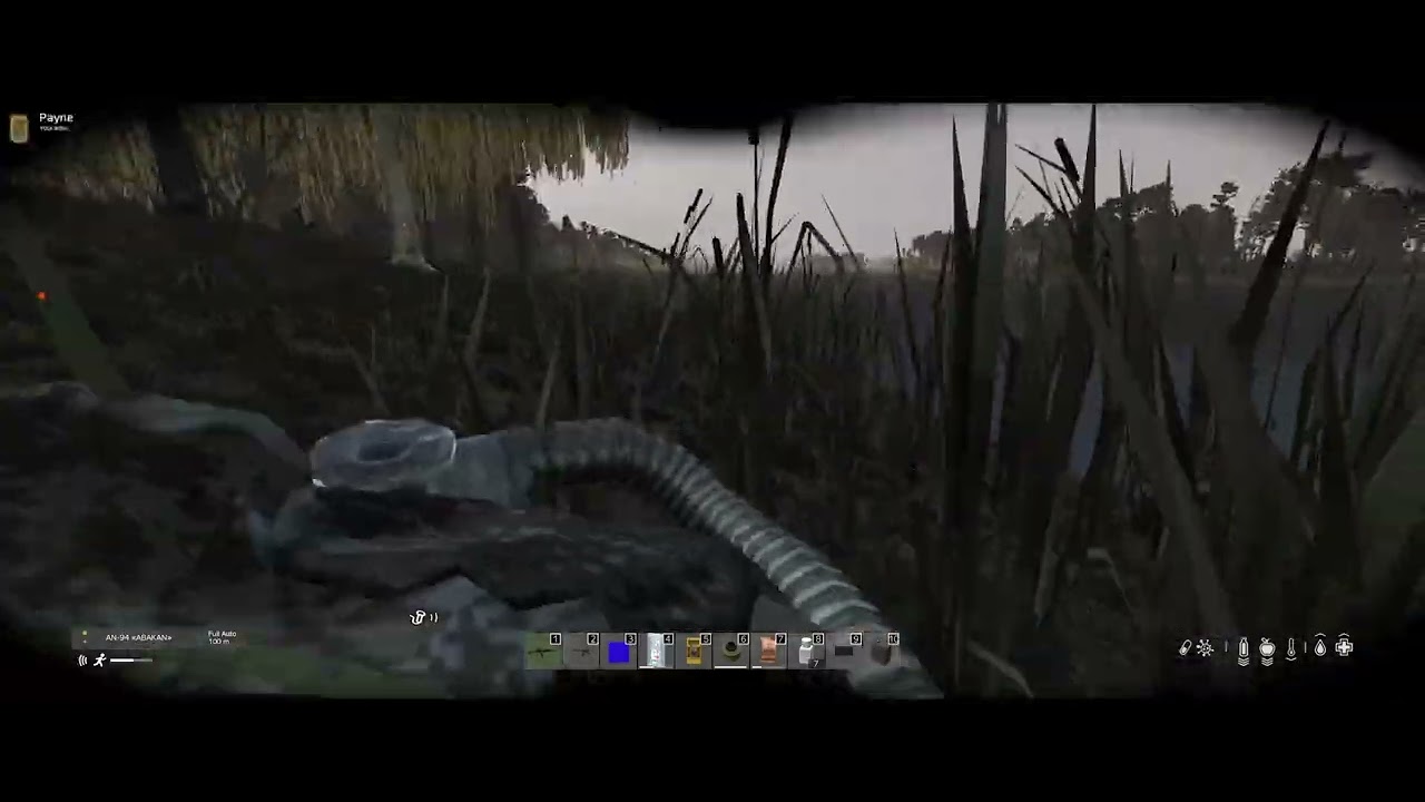 Stalker 2013- Goofy Chimera moment #2 - YouTube