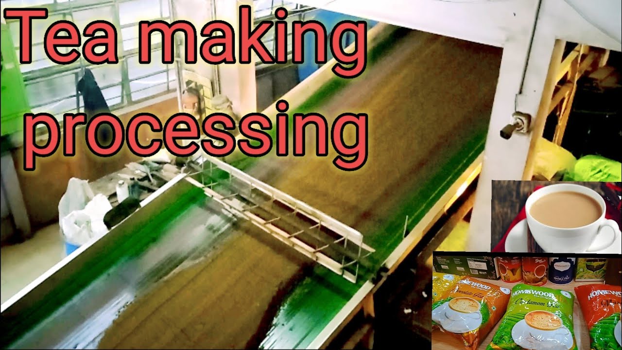Tea making process || tea factory in Ooty - YouTube