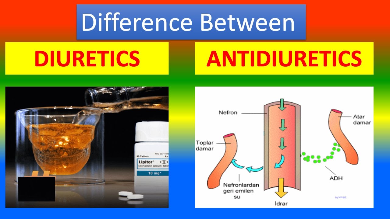 Difference Between Diuretics and Antidiuretics - YouTube