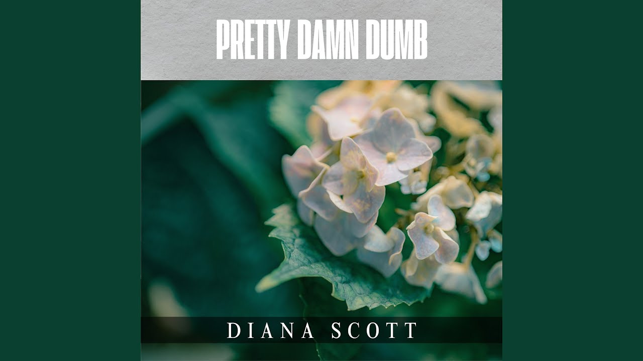 Pretty damn dumb (Preview) - YouTube