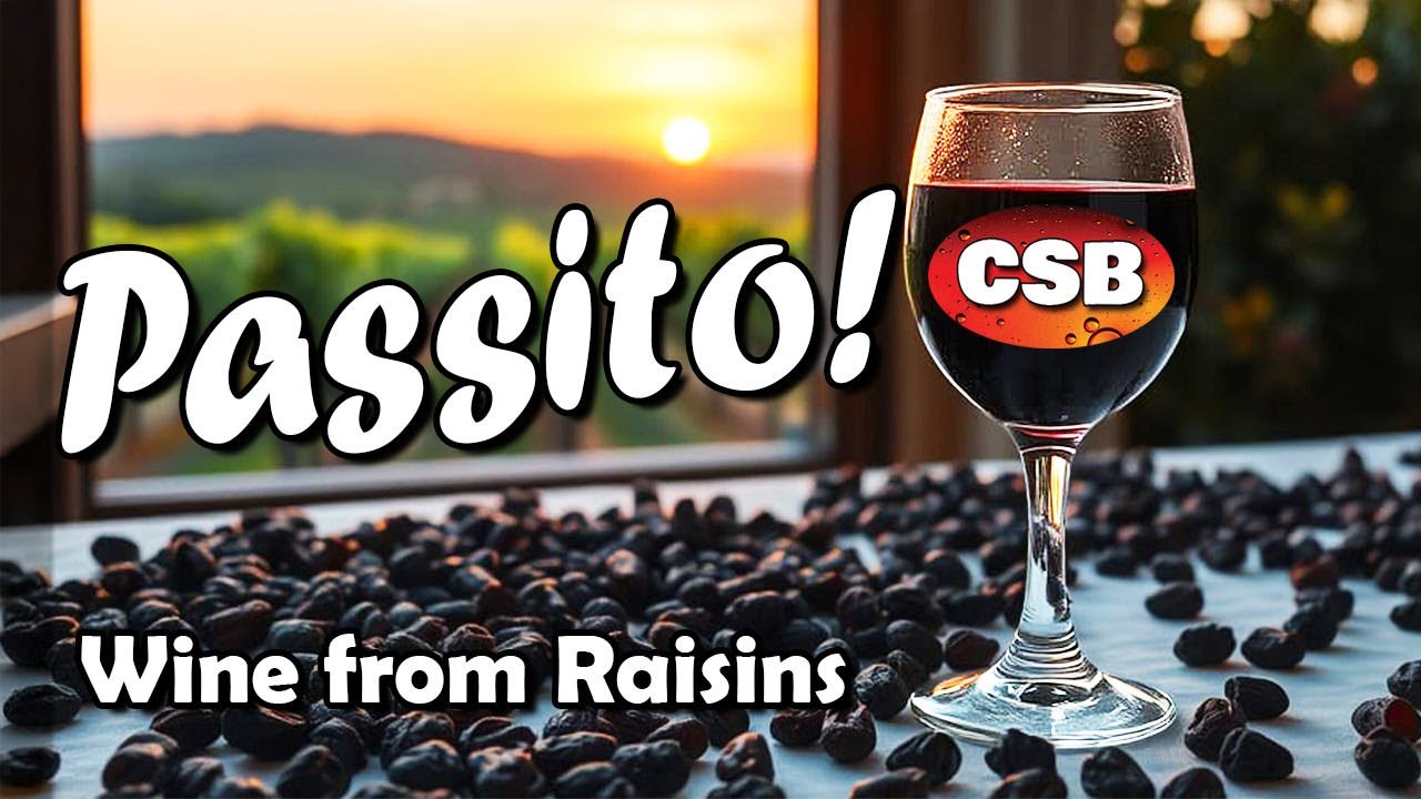 Can We Make Passito? Italian Style Raisin Wine - YouTube