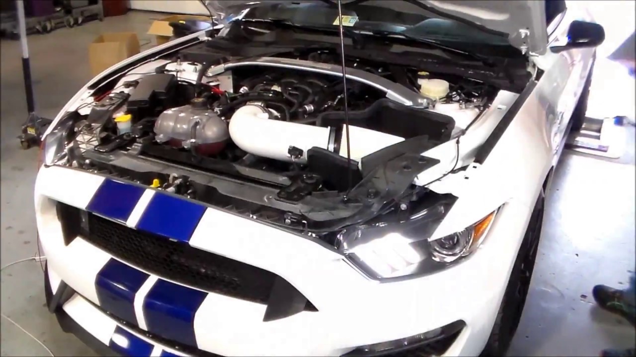 2016 GT350 JLT Performance dyno test - YouTube