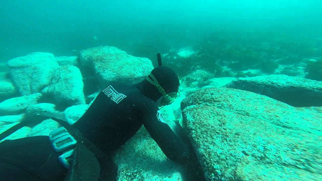 LOBSTER Diving - YouTube