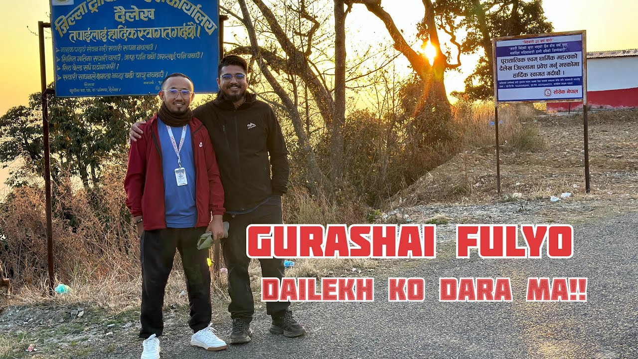 Lali Guras Nepali national flower 🌹 गुरॅासे डॅाडा - YouTube