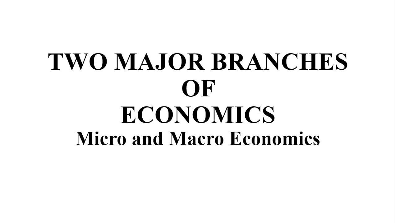 TWO MAJOR BRANCHES OF ECONOMICS: Micro and Macro Economics - YouTube