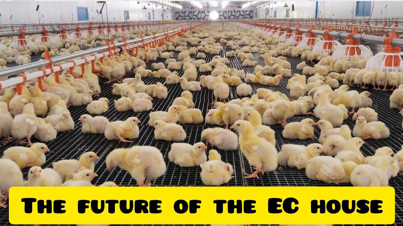 Smart EC House - YouTube