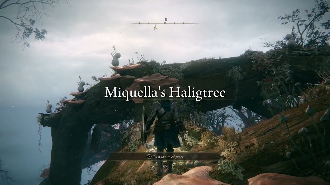 Elden Ring Get to Haligtree Town Site of Grace - YouTube