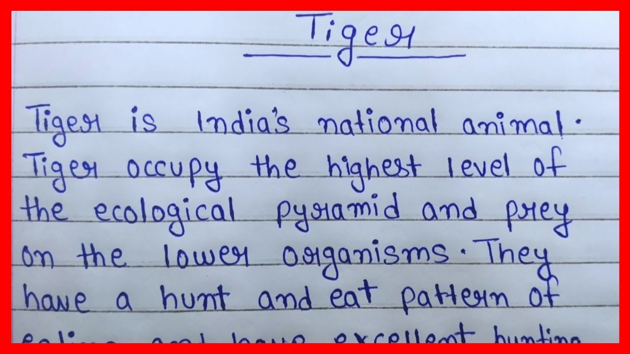 Essay On Tiger In English|| Essay Writing.......🐆 - YouTube